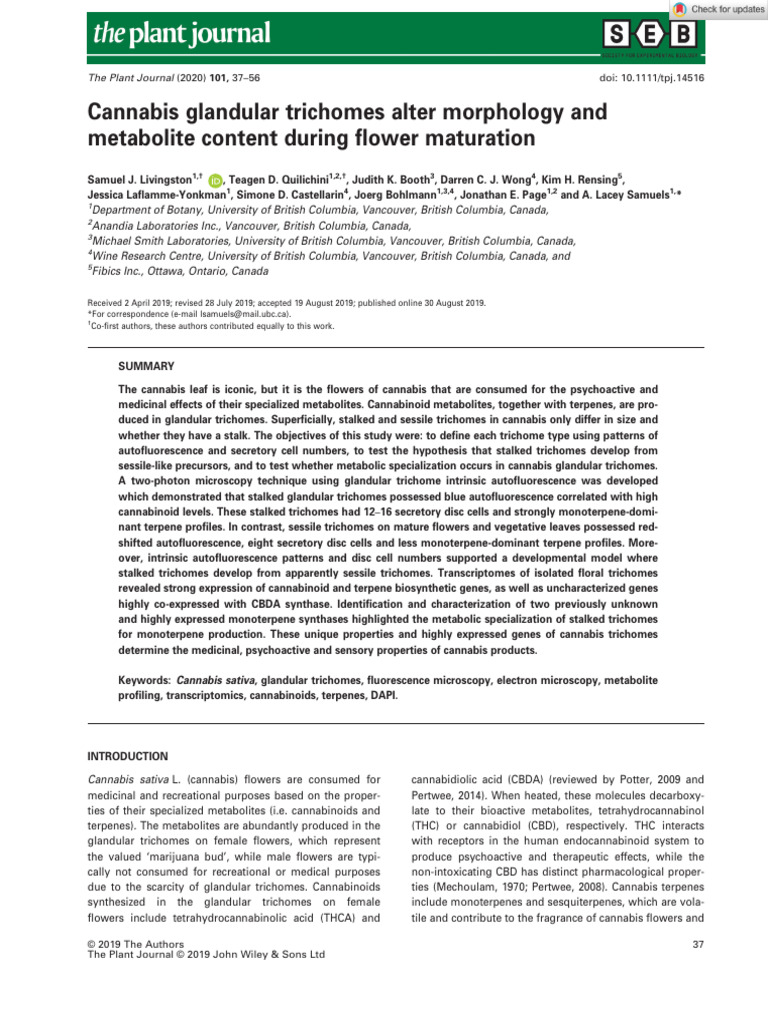 The Plant Journal - 2019 - Livingston - Cannabis Glandular Trichomes ...