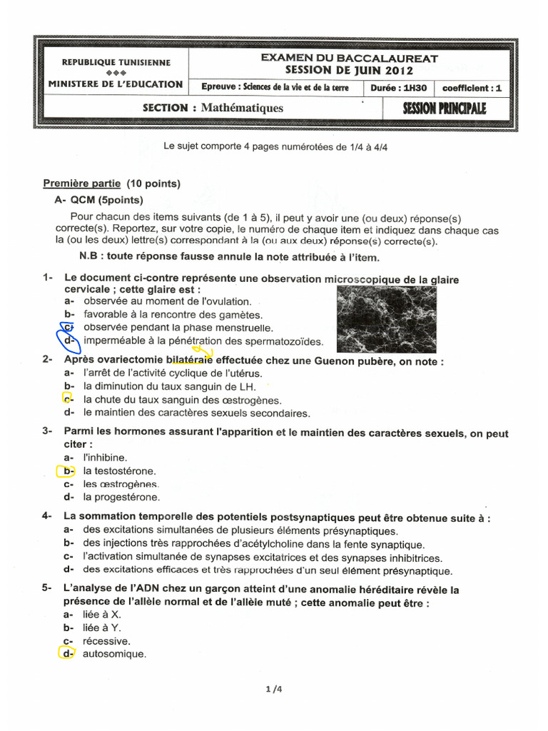 svt (4) | PDF