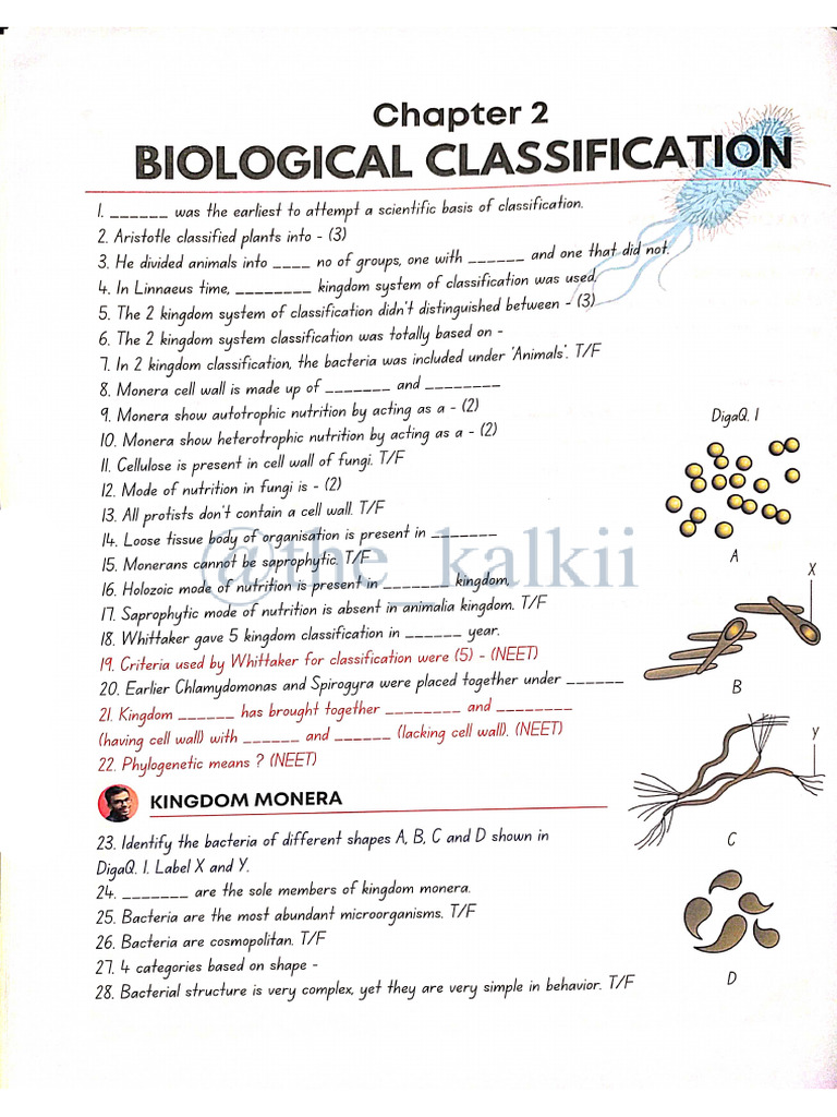CH 2 Biological Classification | PDF