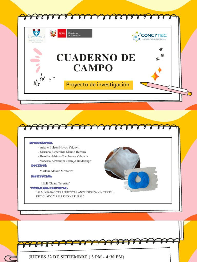 Cuaderno Del Proyecto Eureka | PDF | Interacciones de disciplina ...