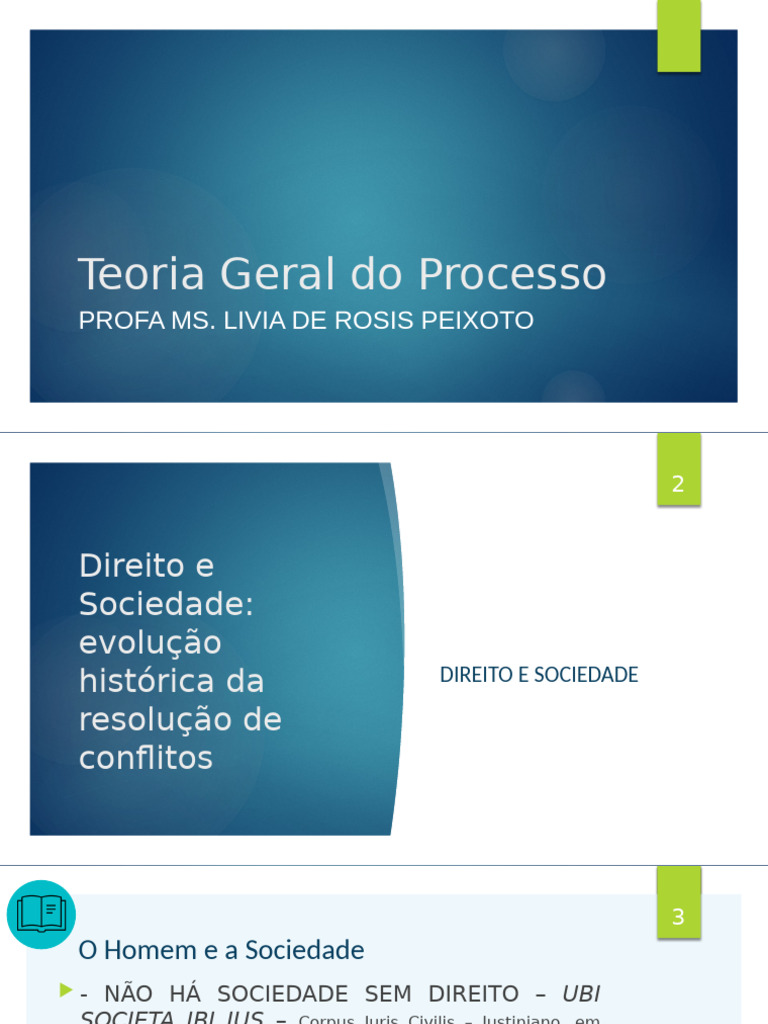 Teoria Geral Do Processo Pdf Jurisdição Sociedade