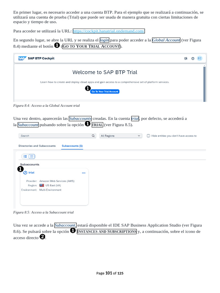 Guía de SAP BAS y CAPm: Creación de Vistas CDS | PDF | Interfaz de línea de comando | Ciencias ...