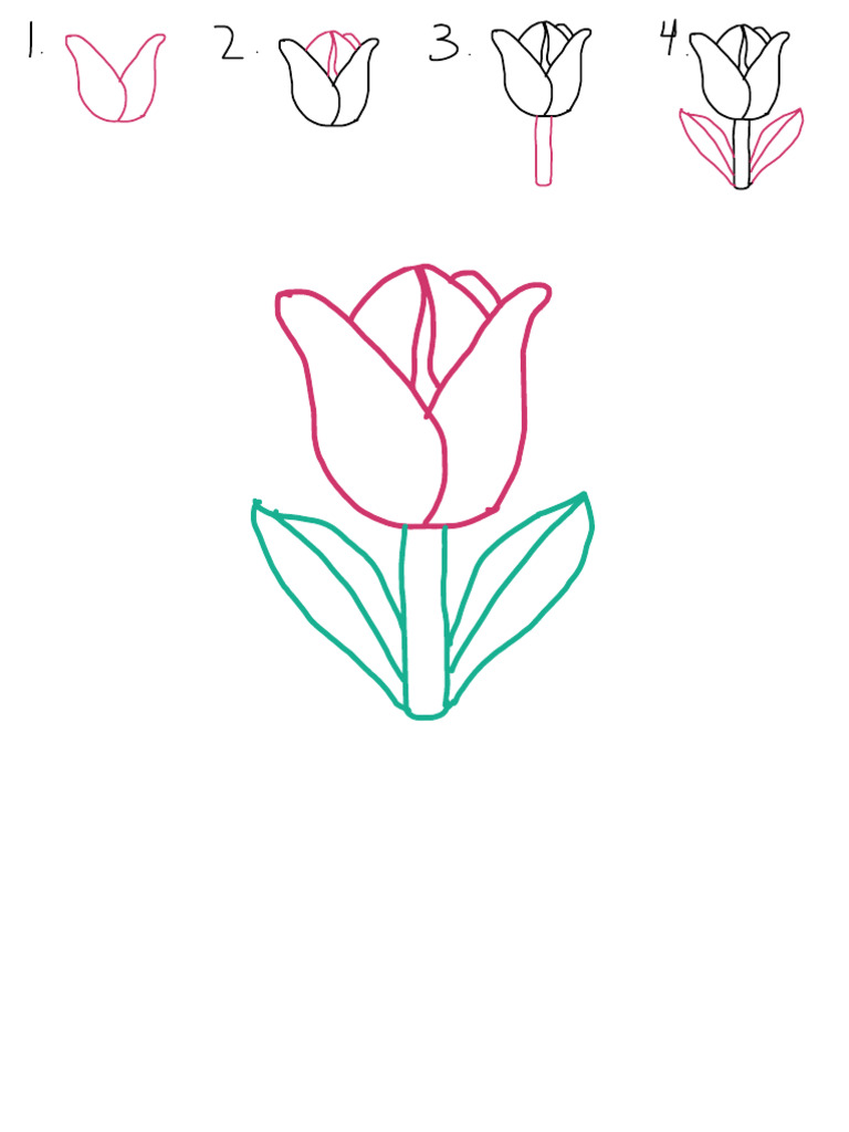 How To Draw A Tulip ? | PDF