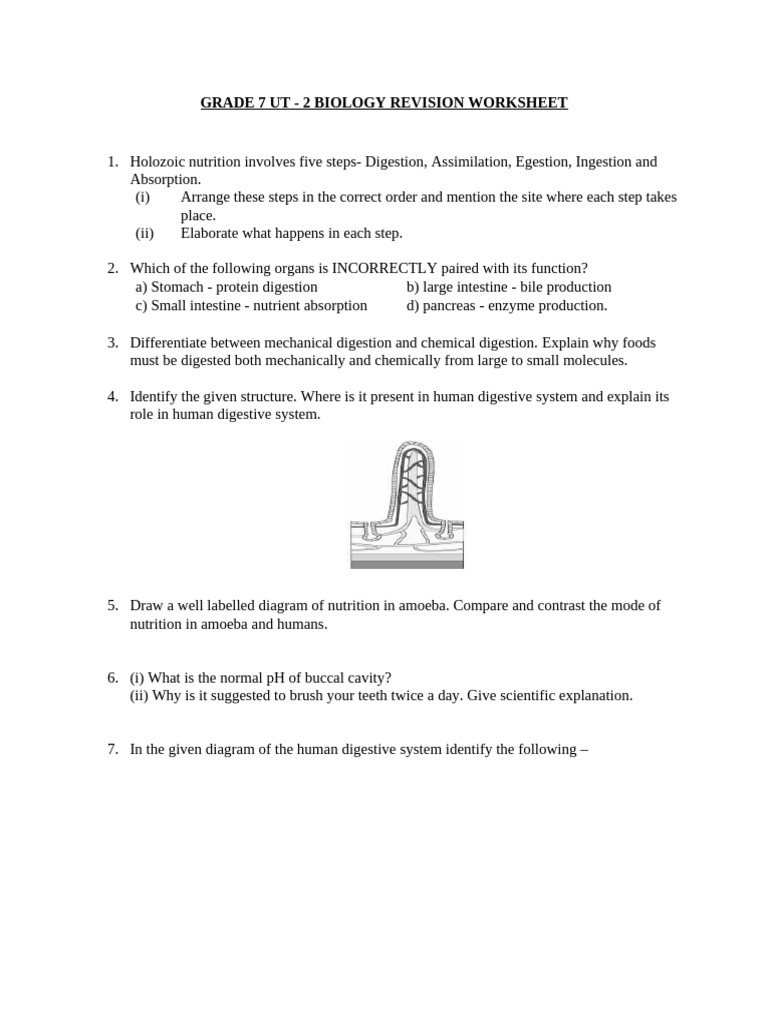 Grade 7 Ut 2 Revision Worksheet (1) | PDF