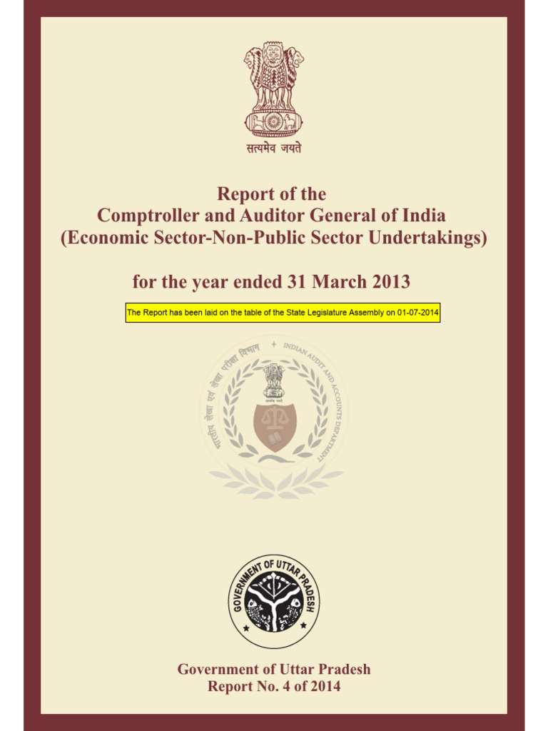 CAG Report | PDF | Audit | Auditor's Report