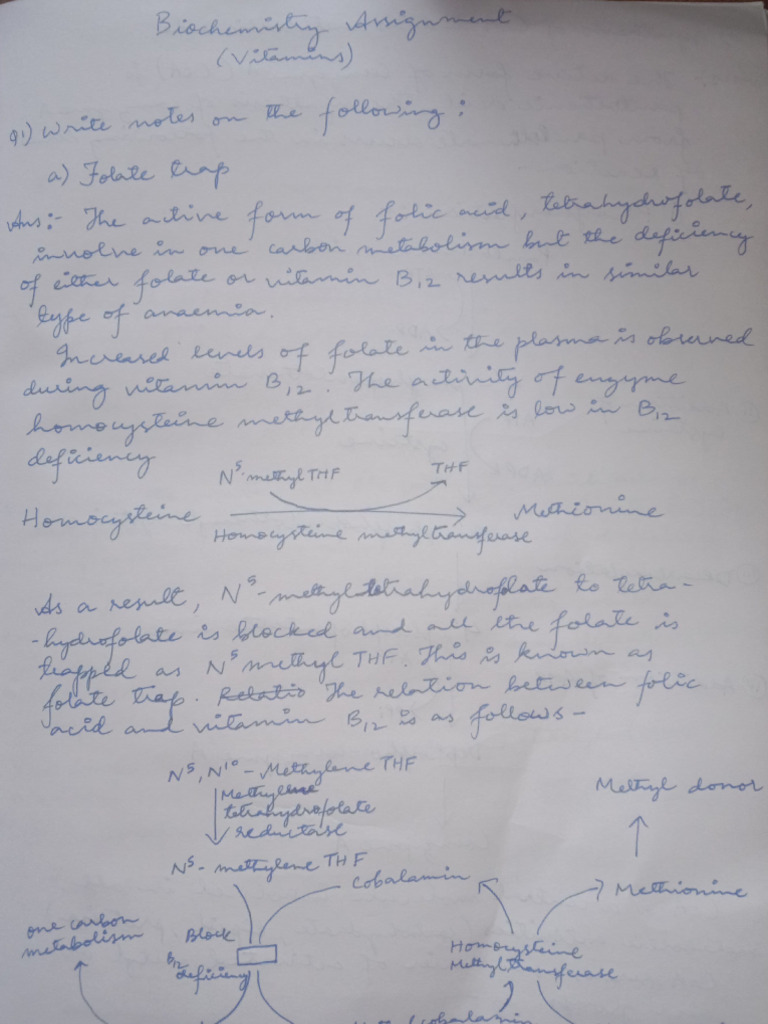 Biochemistry Assignment (Vitamins) | PDF