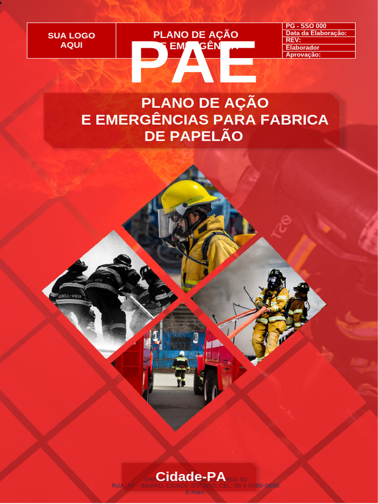 06 - MODELO DE PAE PARA FABRICA DE PAPELÃO | PDF | Caldeira | Comunicação