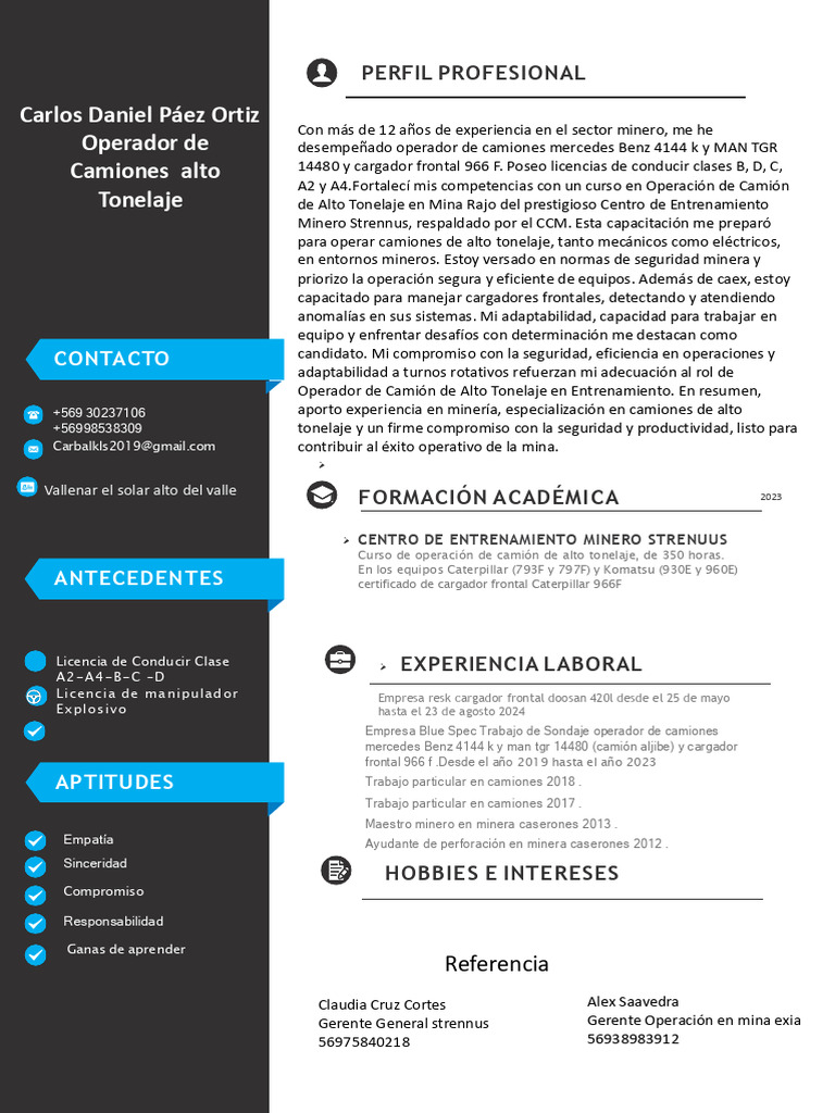 Carlos Curriculum | PDF