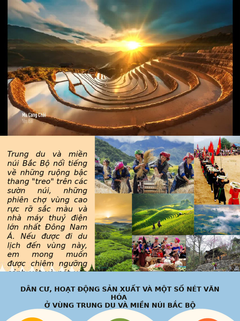 BÀi 4 tnxh - Sao chép (2) | PDF