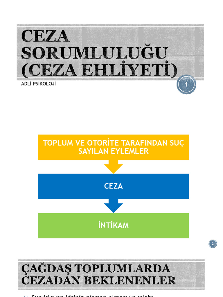 Ceza Ehliyeti | PDF