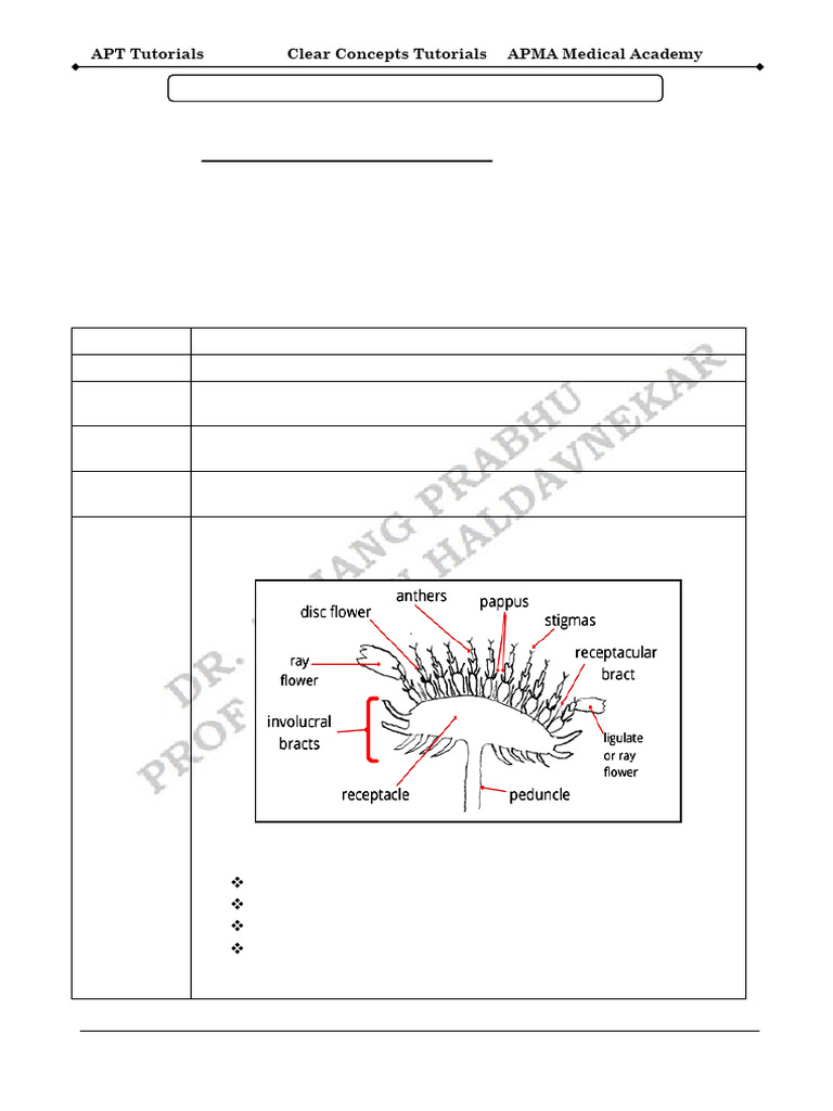 Morphology of Flowering Plant Families | PDF | Flowers | Petal