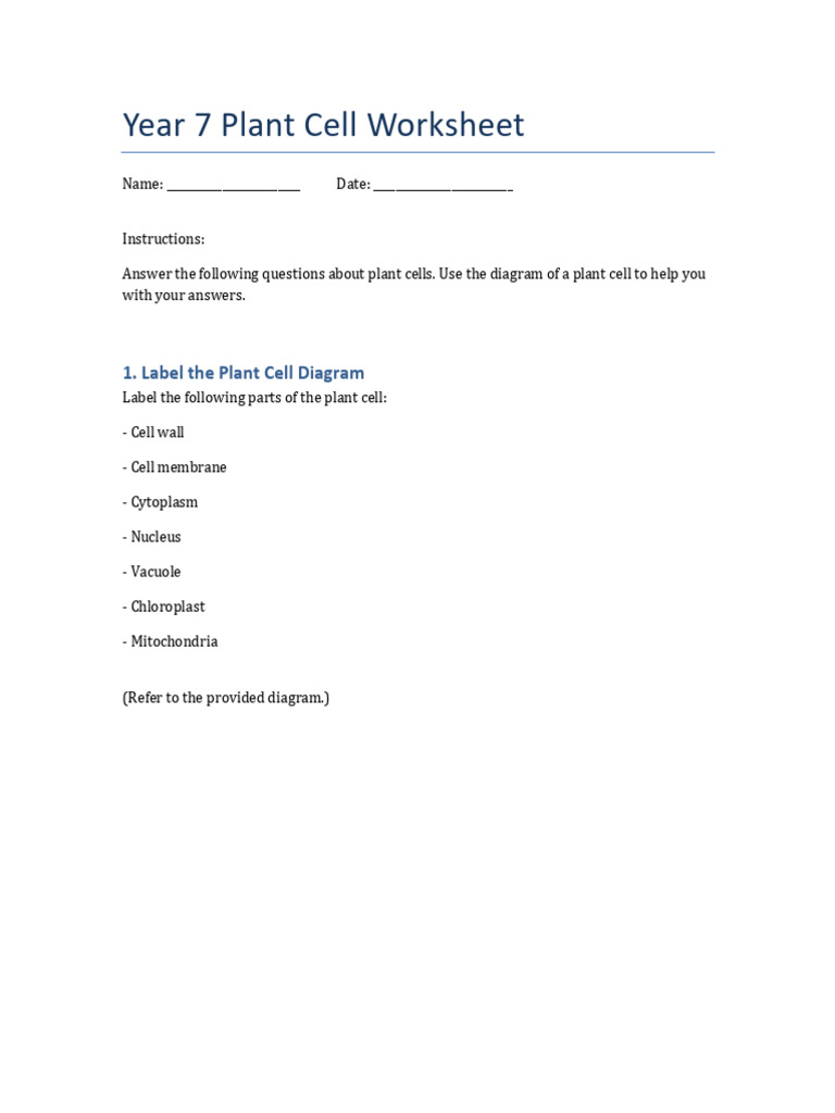 Year 7 Plant Cell Worksheet | PDF