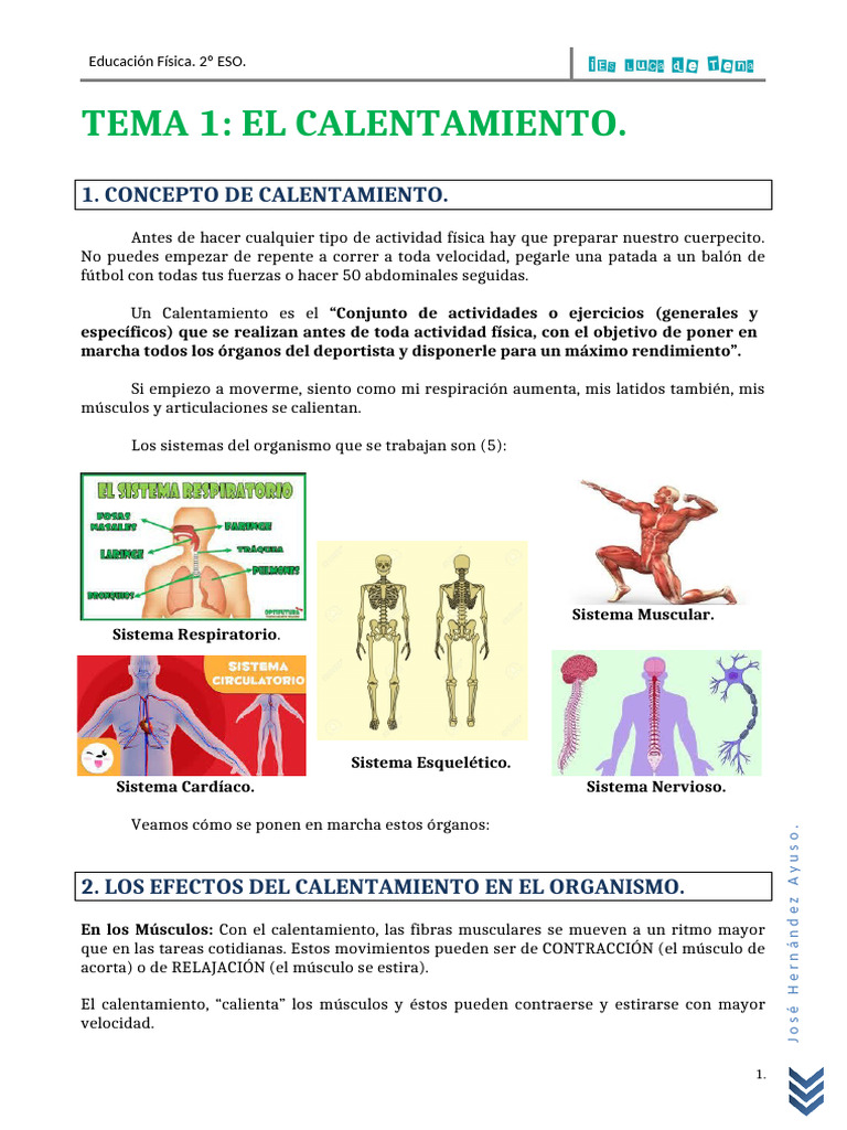 Tema 1. Calentamiento. | PDF | Músculo | Respiración