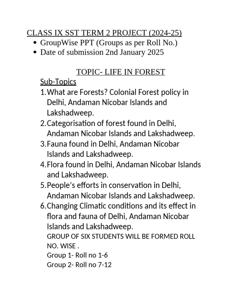 Class Ix SST Term 2 Project-1 | PDF