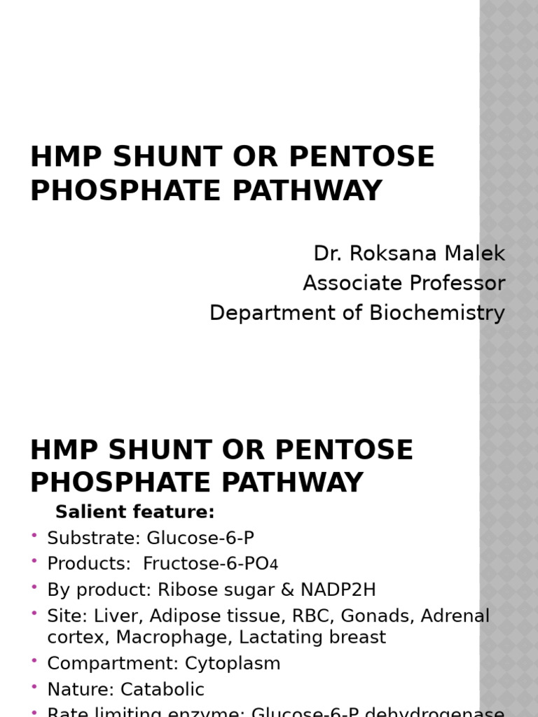 HMP Shunt Overview and Key Features | PDF