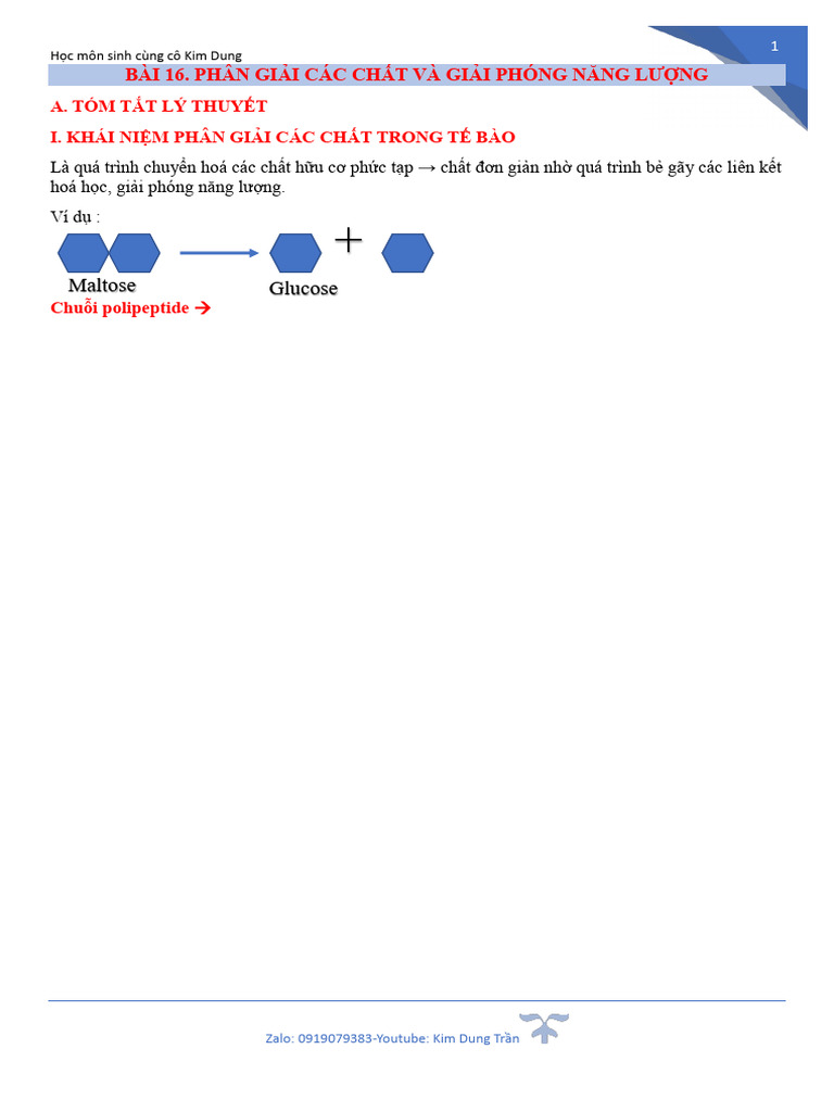 Sinh 10-CTST-BÀI 16-lí thuyết-Phân giải các chất và giải phóng năng lượng (1) | PDF