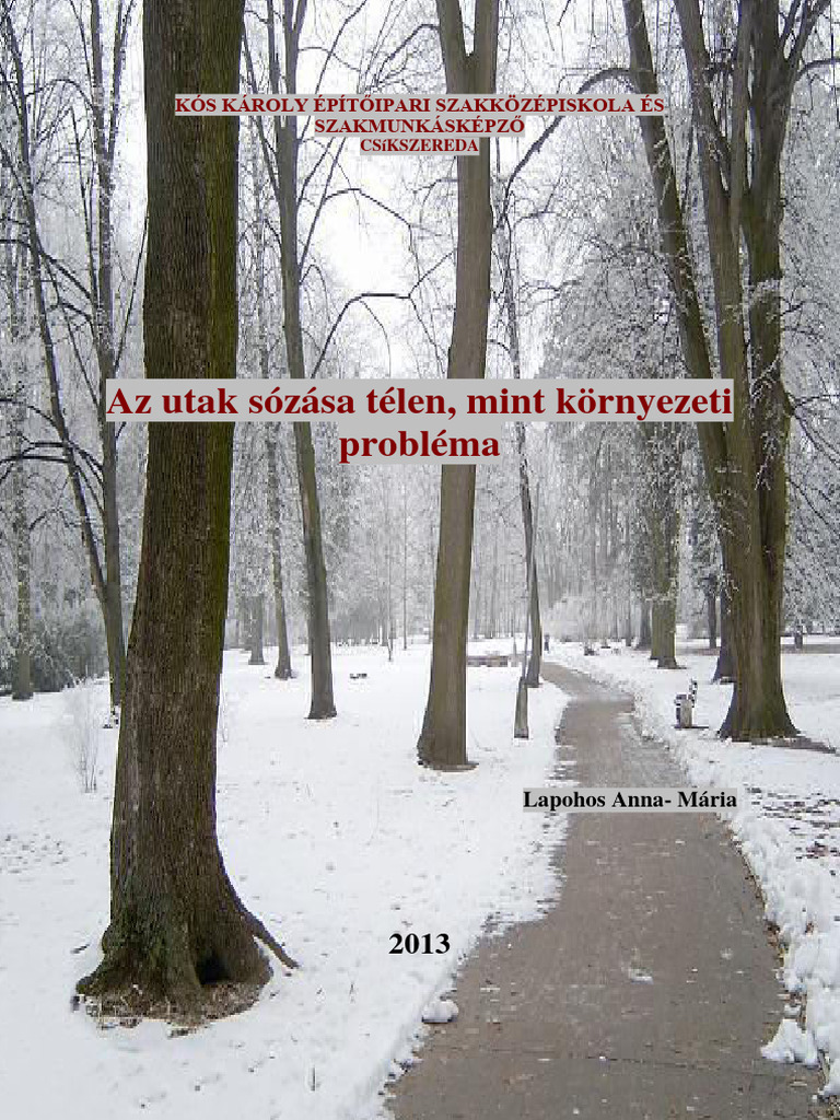 Az-utak-sozasanak-kornyezeti-hatasai | PDF