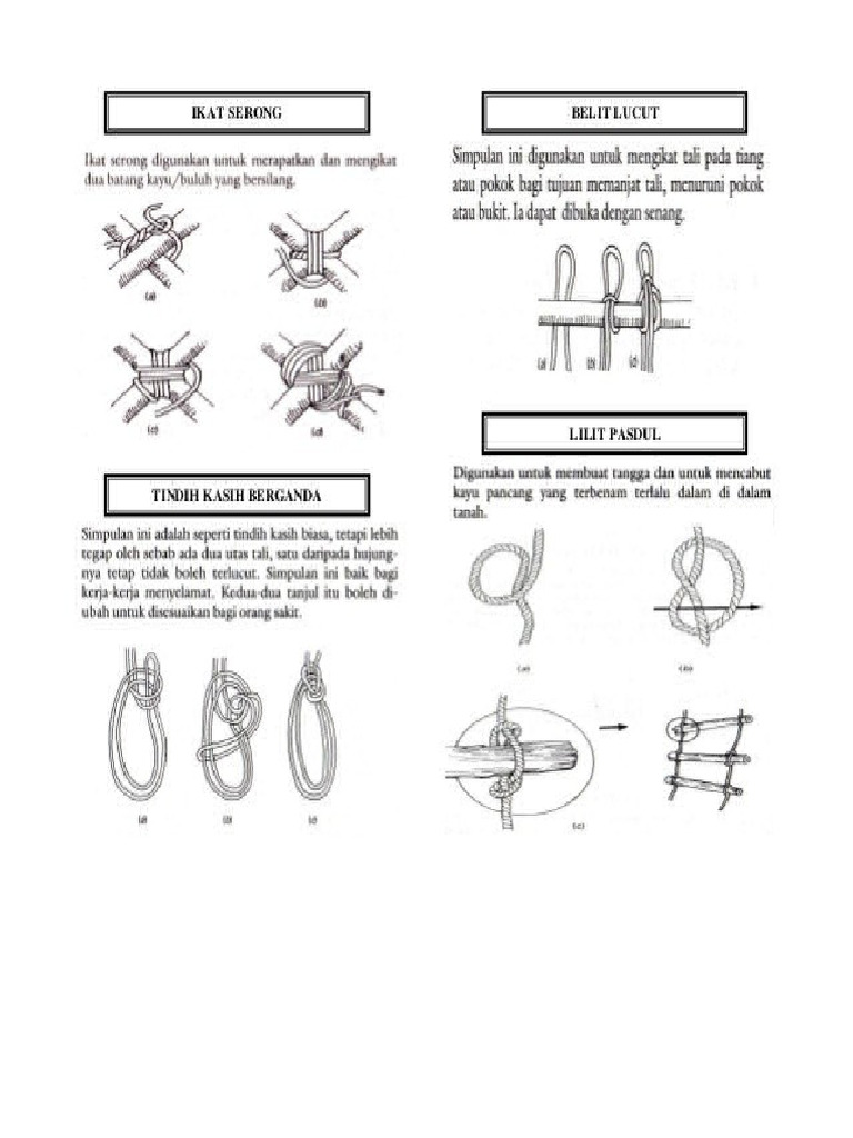 Tunas Puteri Ikatan Dan Simpul | PDF