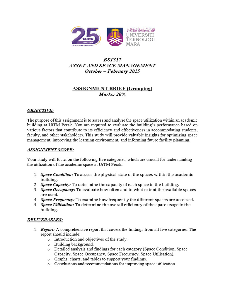 BST317 - Assignment Brief (Grouping) | PDF