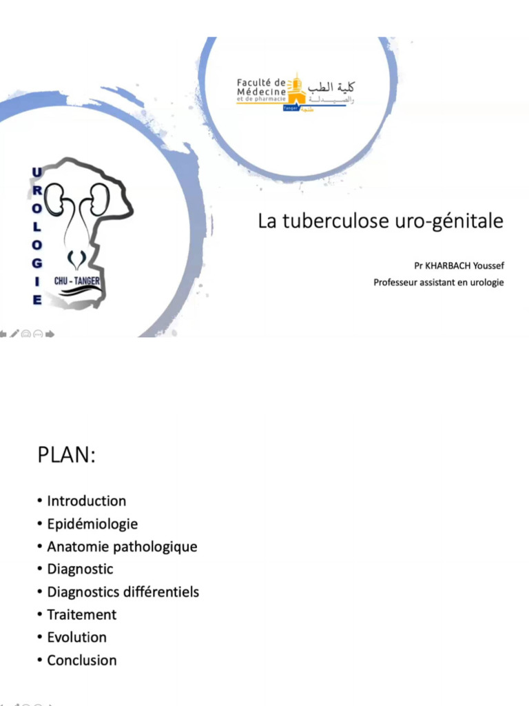 La Tuberculose Uro-Génitale | PDF