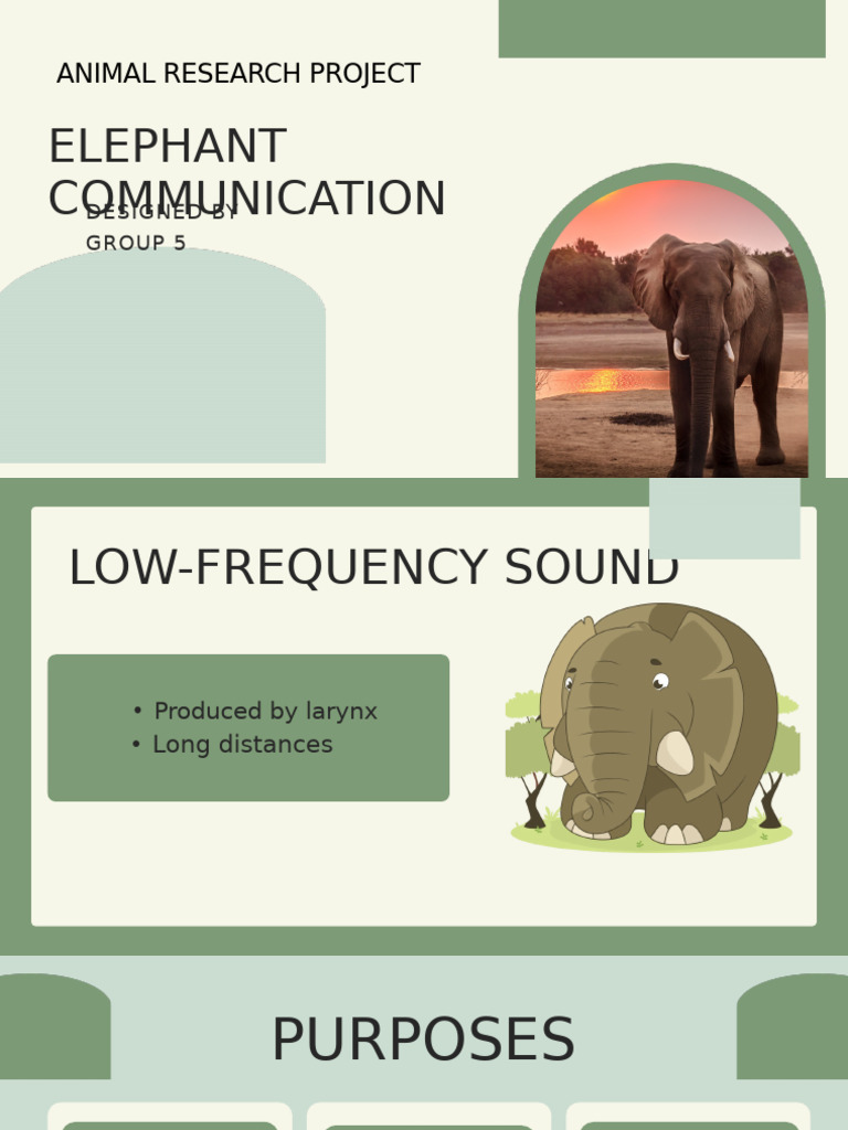All About Animal Research Project Presentation in Green Simple Style (1 ...