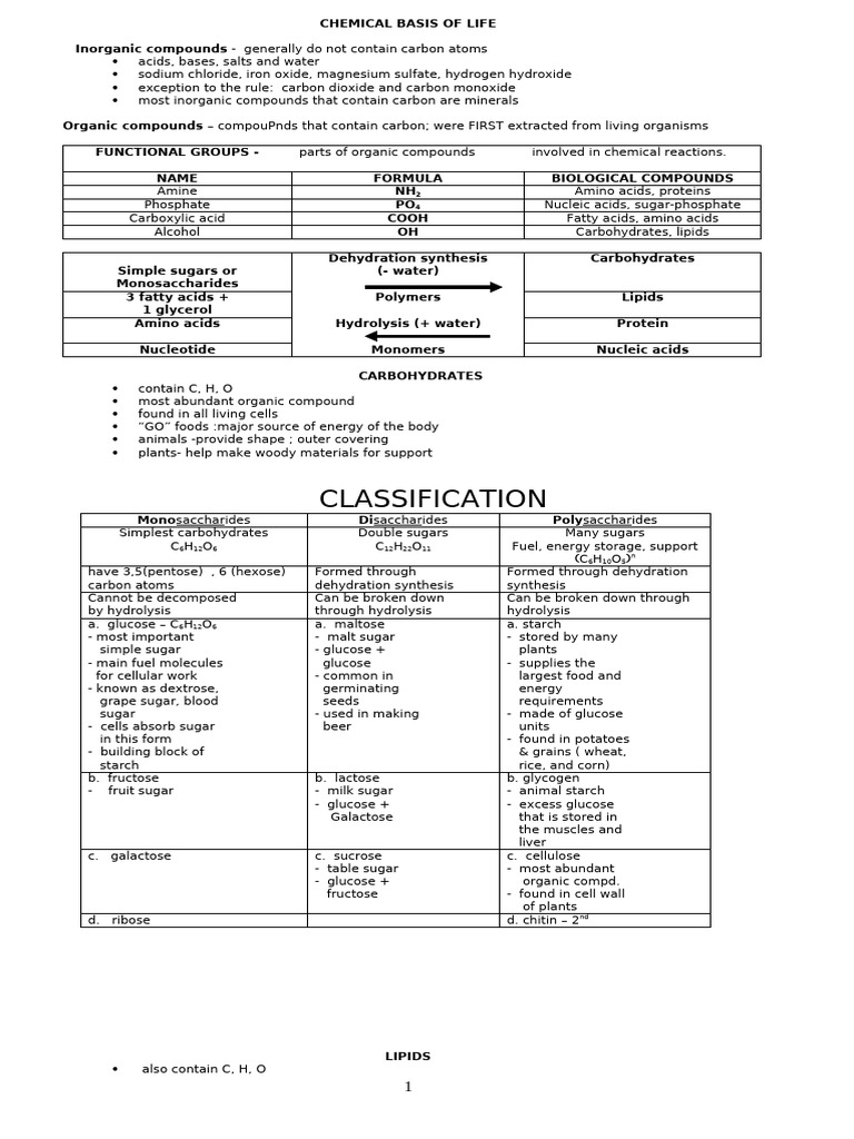 Chemical Basis of Life Handout | PDF | Rna | Dna