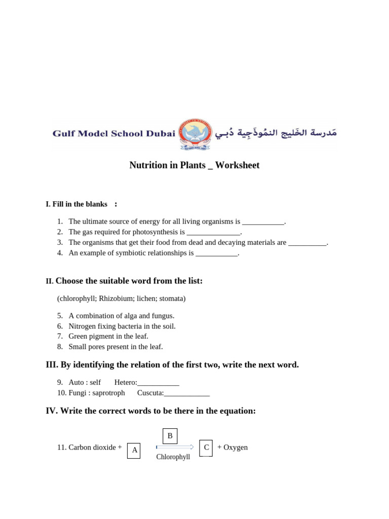 Plant Nutrition Worksheet | PDF