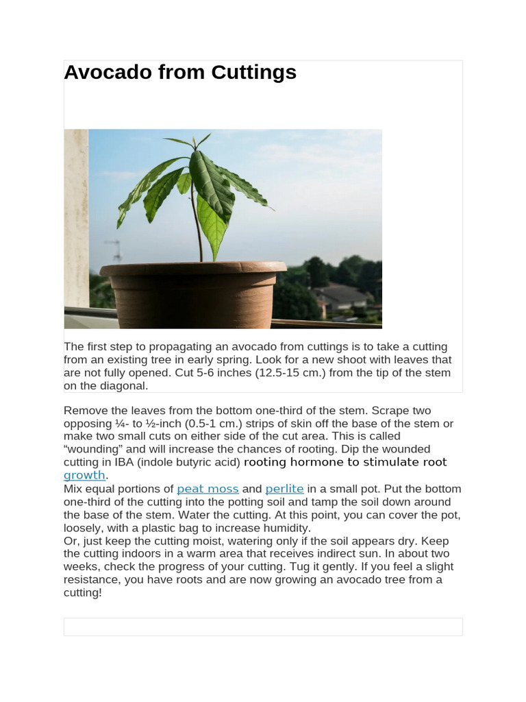 Avocado from Cuttings | PDF