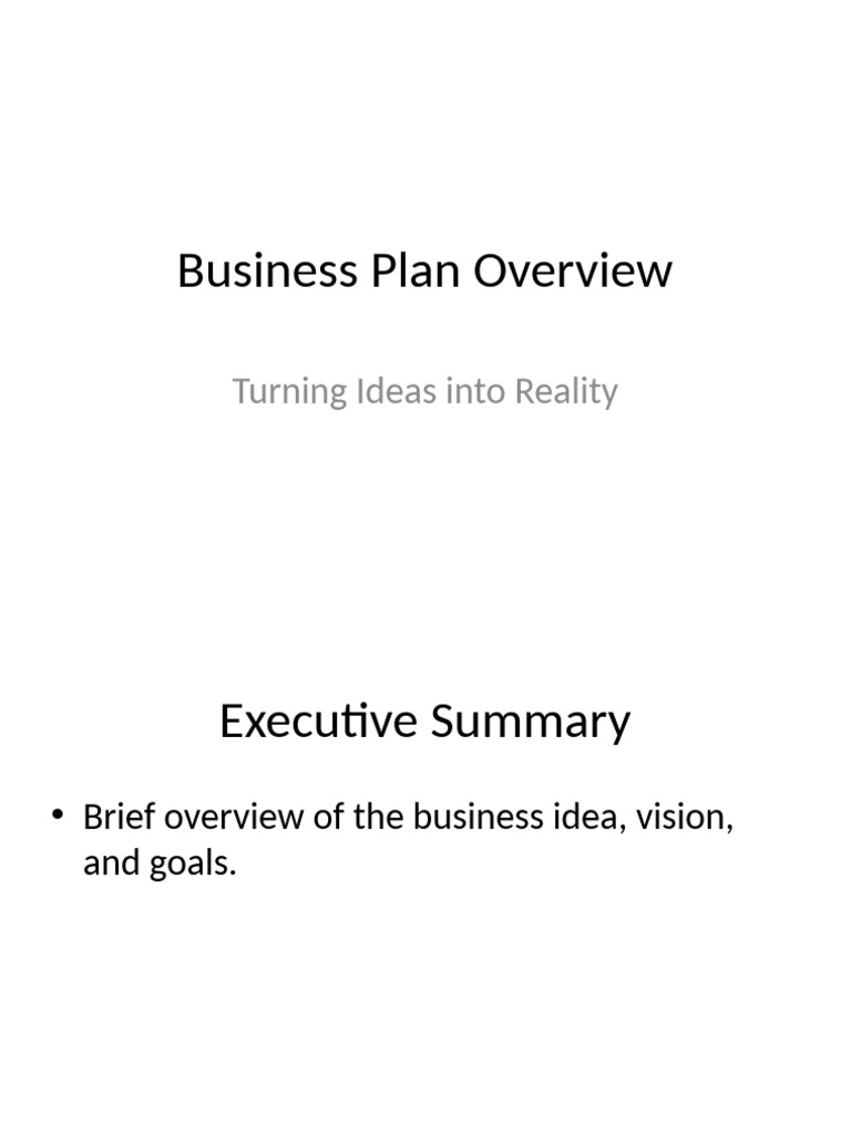 Business Plan Overview | PDF