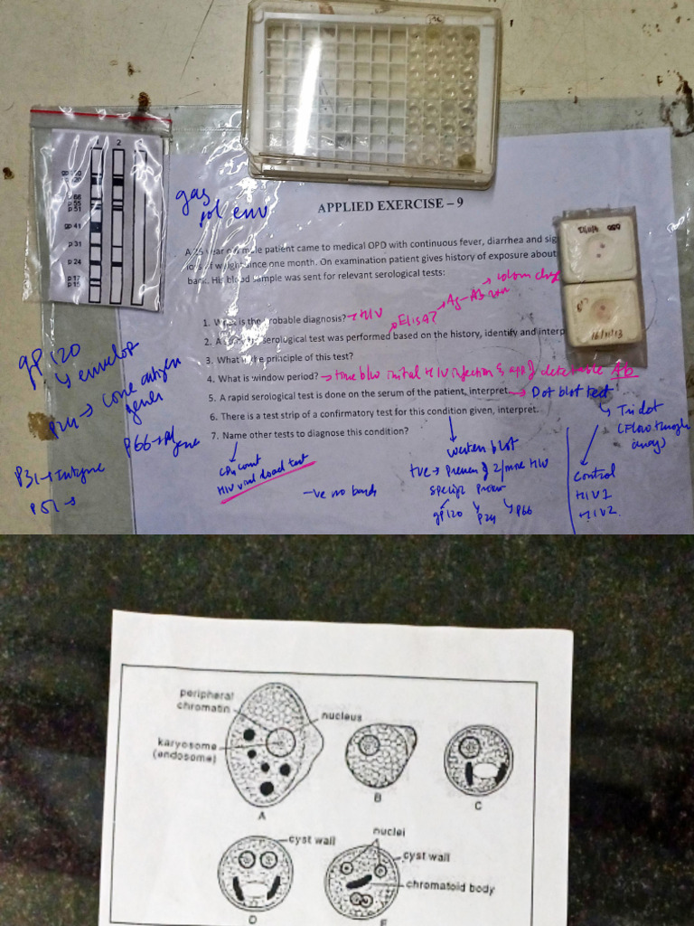 Micro Applied Exercise | PDF | Immunology | Microbiology