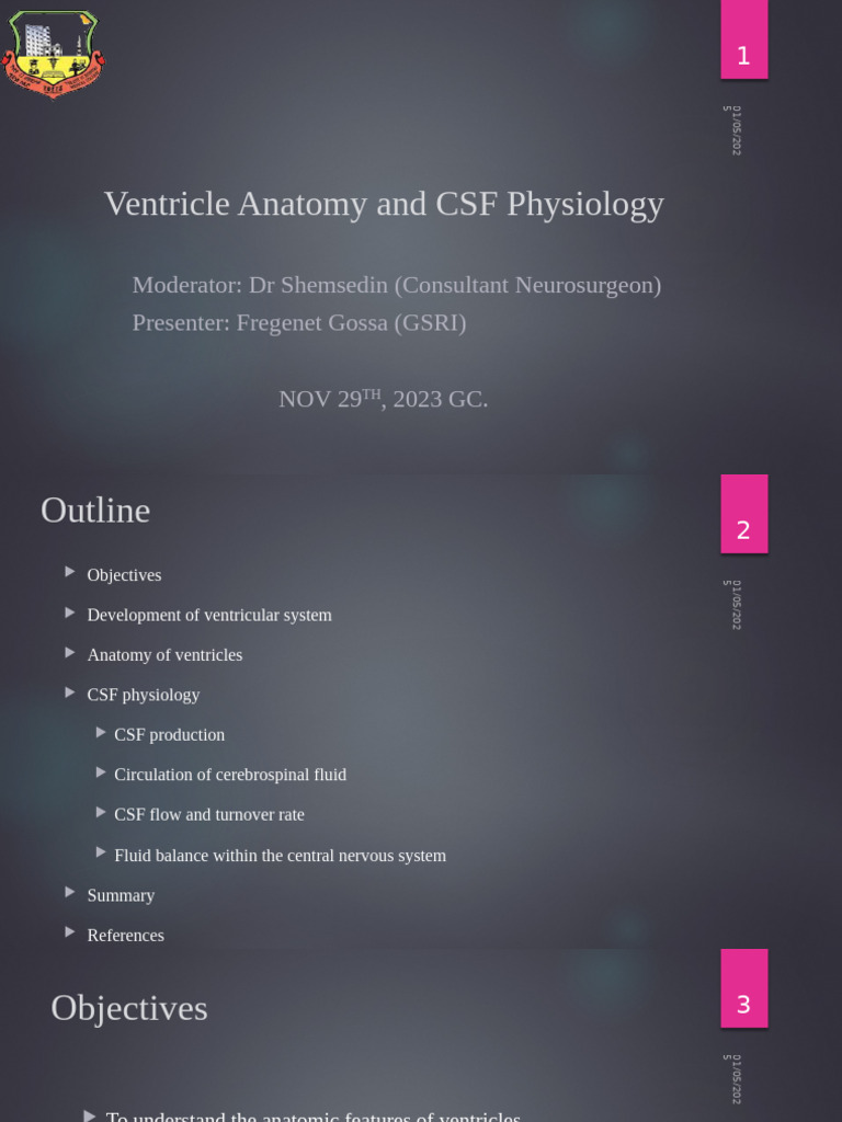 Freg Ventricle and CSF Anatomy and Physiology | PDF | Cerebrospinal Fluid | Organ (Anatomy)