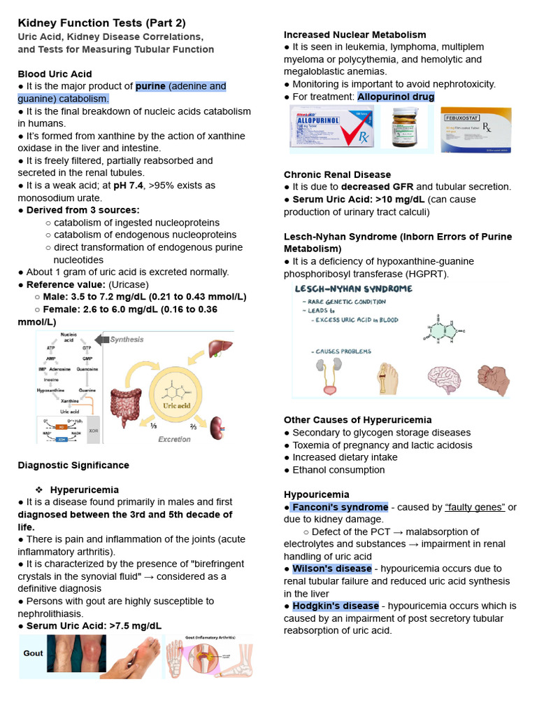 Kidney Function Tests (Part 2) | PDF | Kidney | Creatinine