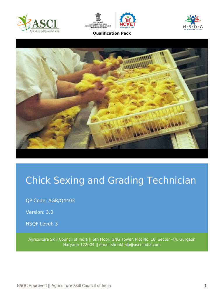 Chick Sexing and Grading Technician | PDF | Procedural Knowledge | Birds