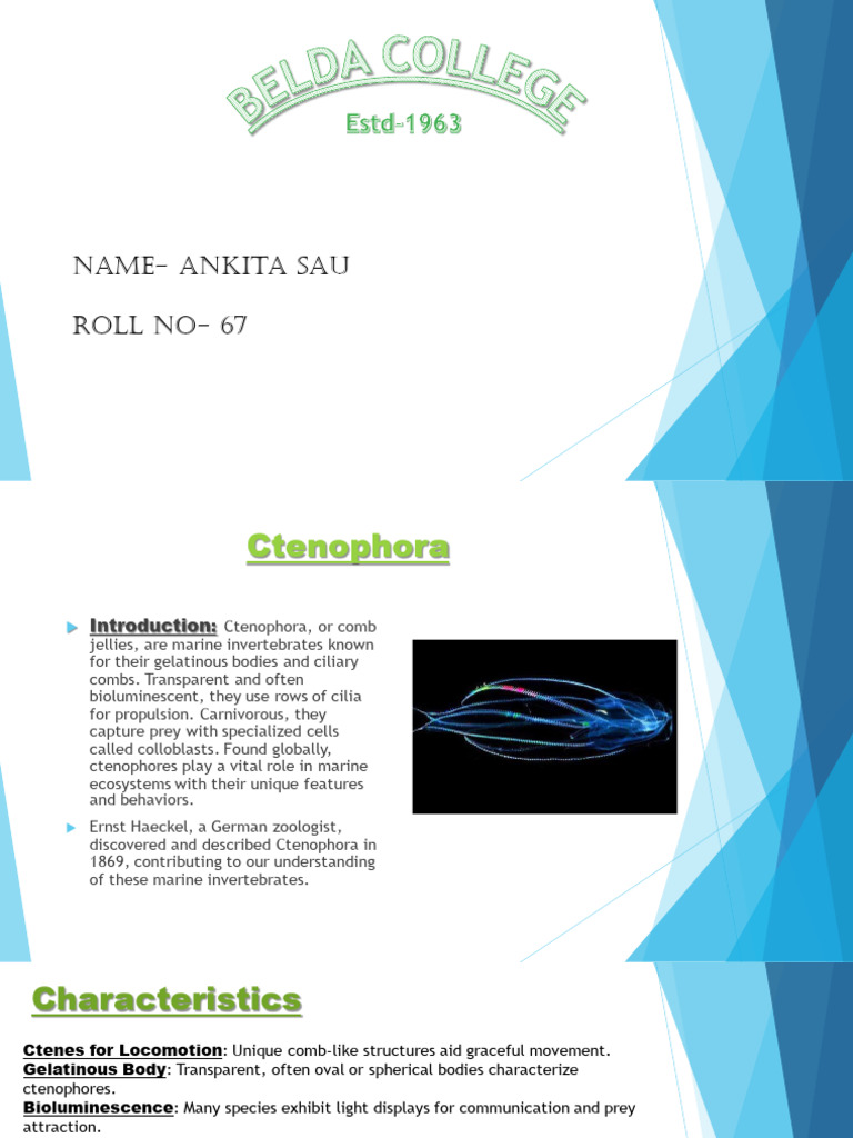 Ctenophora Ppt (2) | PDF | Organisms