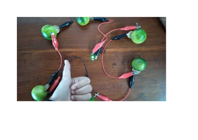 Gambar Bio Baterai | PDF