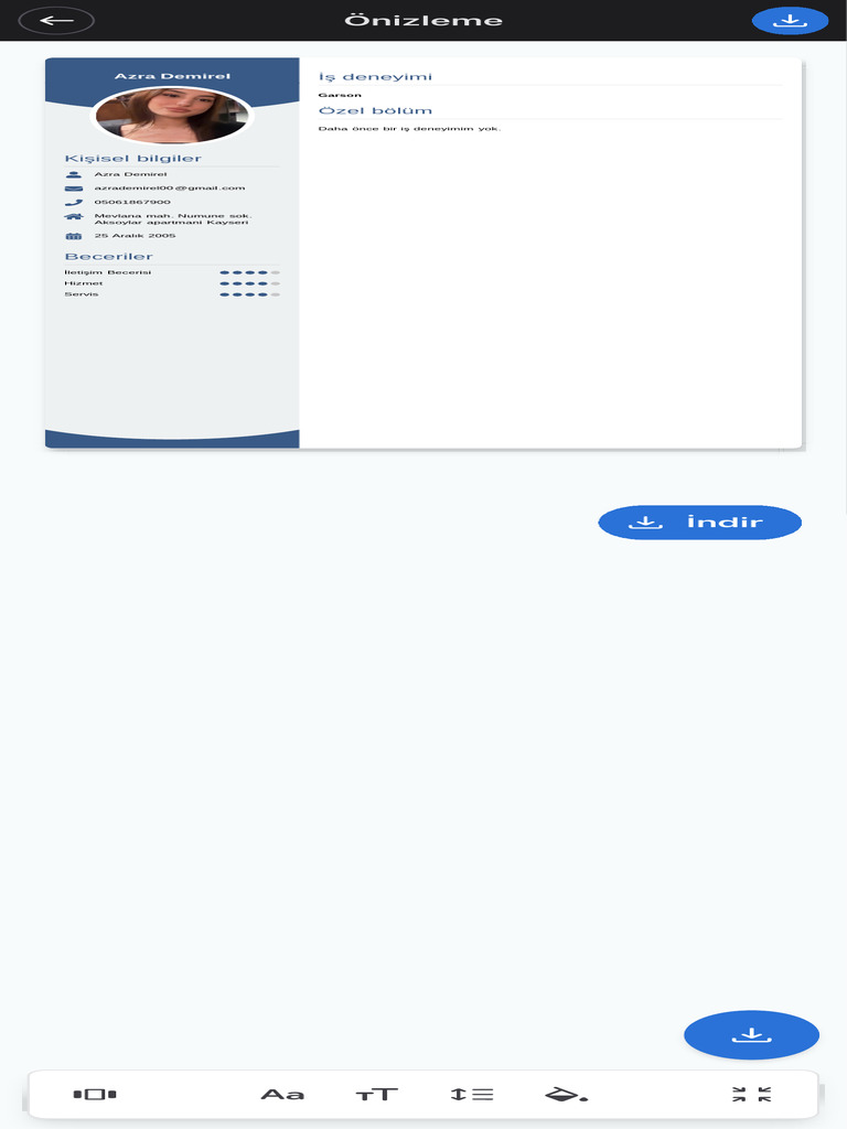 CV Azra Demirel - CVwizard | PDF