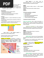 Anatomia da Região Inguinal e Canal Inguinal | PDF | Testículo | Anatomia