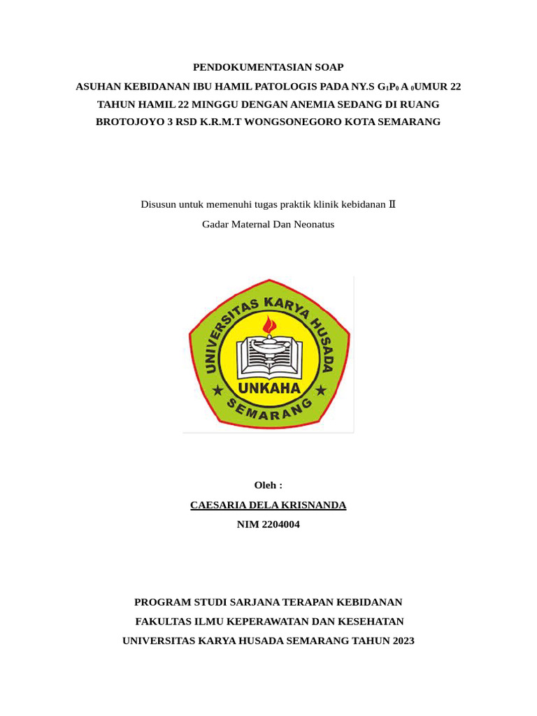 SOAP KEHAMILAN Anemia | PDF