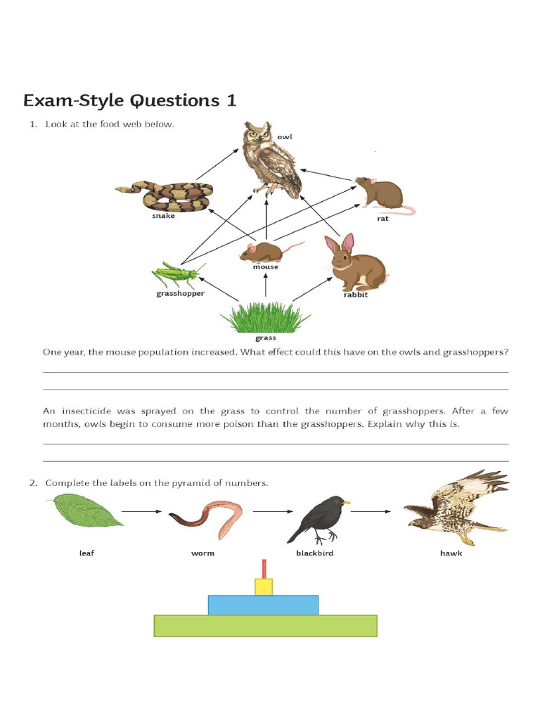 Y-8 Ecosystem Science Worksheet | PDF