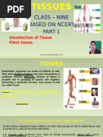 Tissues - PPT - Grade 9 | PDF | Epithelium | Tissue (Biology)