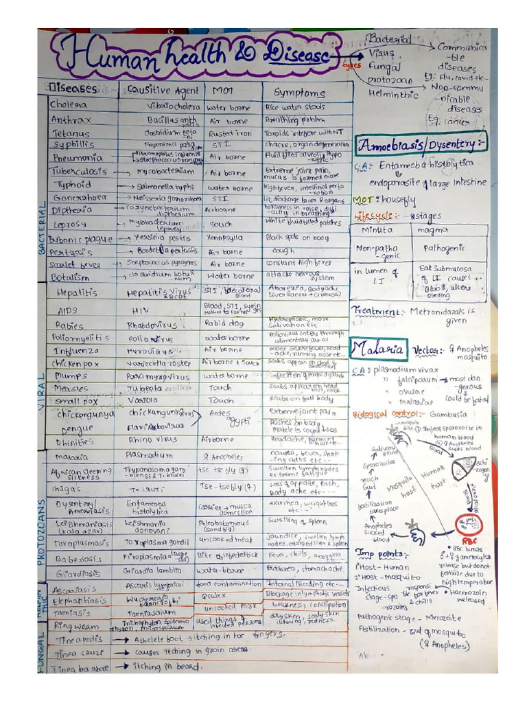 Human Health and Diseases Class 12th Chapter 8 | PDF