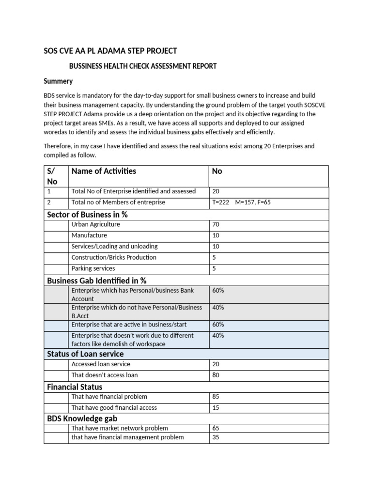 BHA Report Beyene Aug 2024 | PDF | Economies