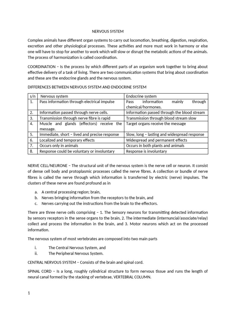 NERVOUS SYSTEM 1&2. | PDF | Action Potential | Nervous System
