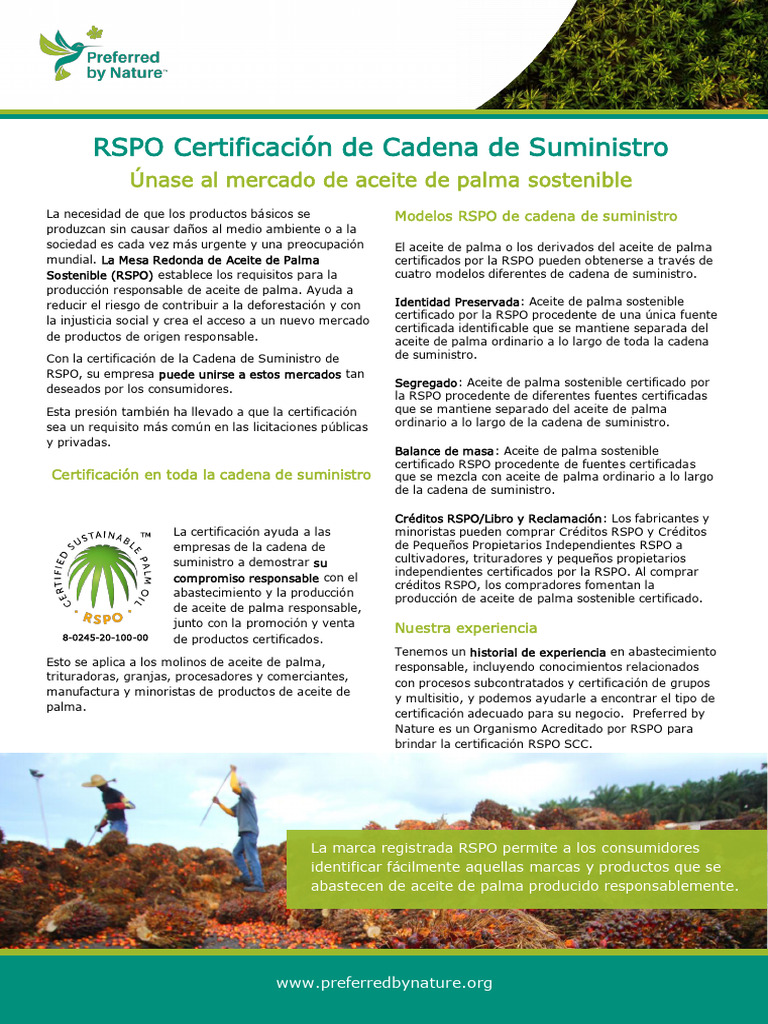 RSPO Supply Chain Info Sheet 15NovSPA | PDF | Sustentabilidad | Cadena ...