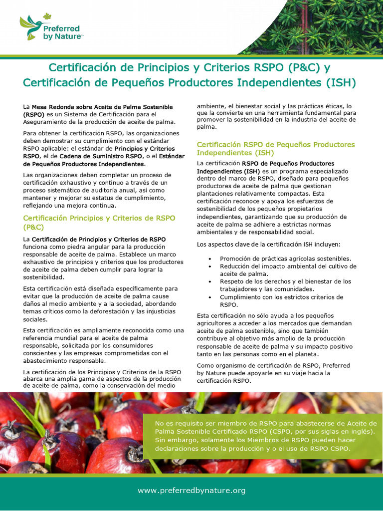 RSPO Principles and Criteria-ISH Info Sheet 27agu24 SPA | PDF ...