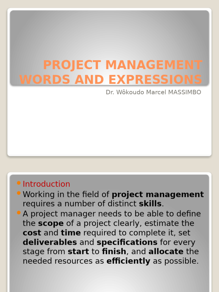 Project Management VOCABULARY 2024 | PDF | Project Management | Business