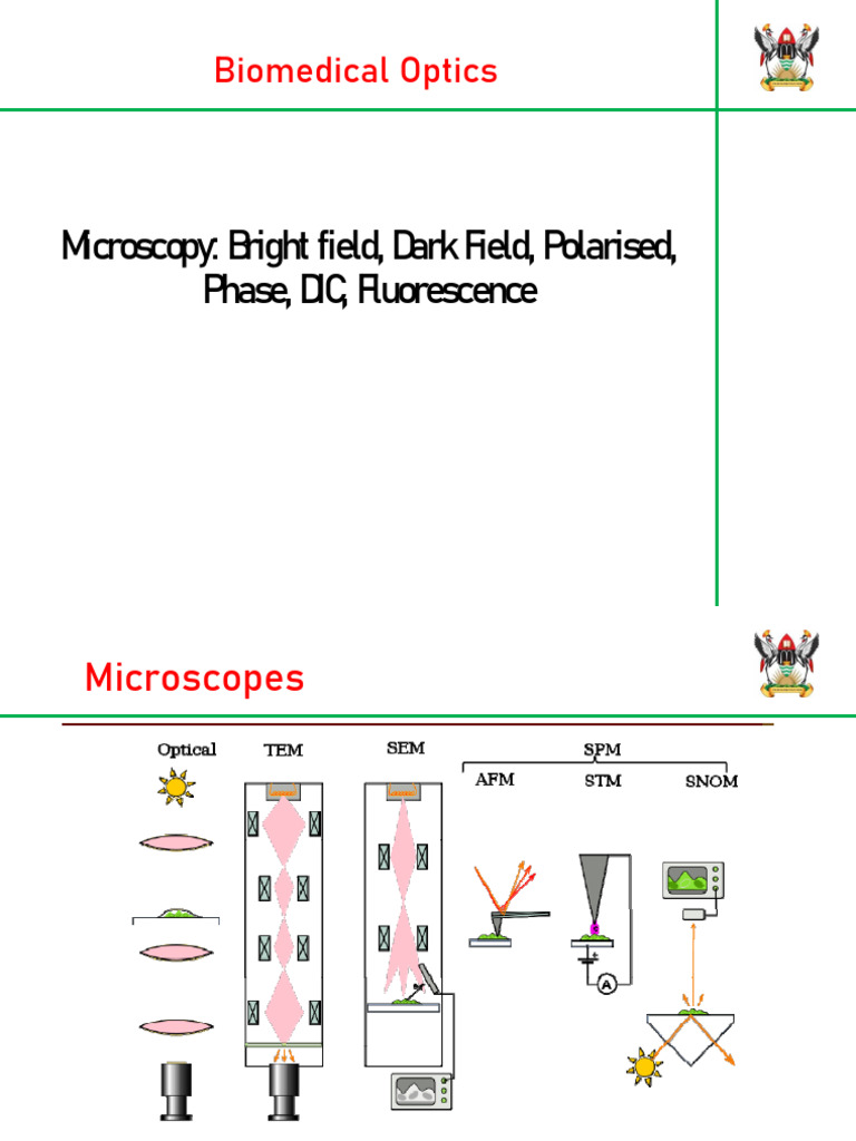 10-11. Microscopy | PDF | Angular Resolution | Microscopy