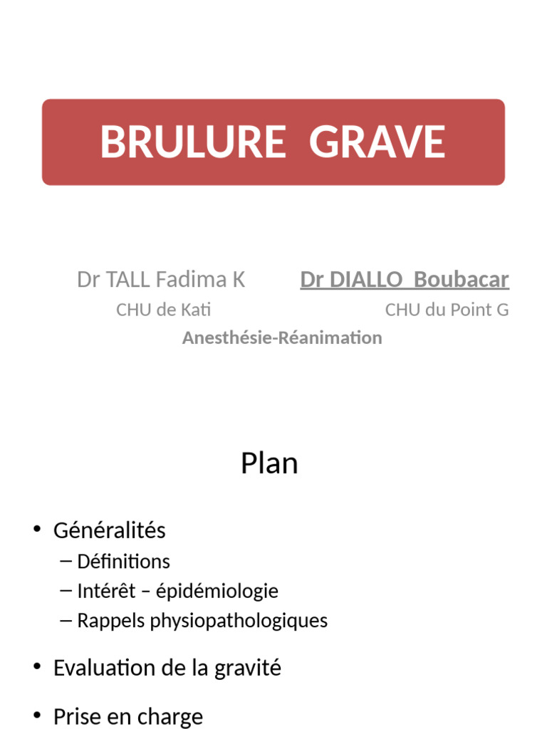 BRULURE GRAVE Diallo B - 10-11-2021 | PDF | Brûlure | Inflammation