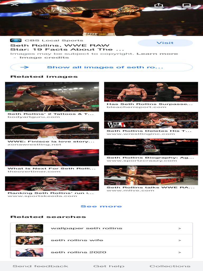 Shet Rolins Wwe - Google Search | PDF | Professional Wrestling Shows | Wwe