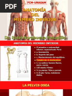 Anatomía Sacro-Coxígea en Radiología | PDF | Vértebra | Anatomía humana